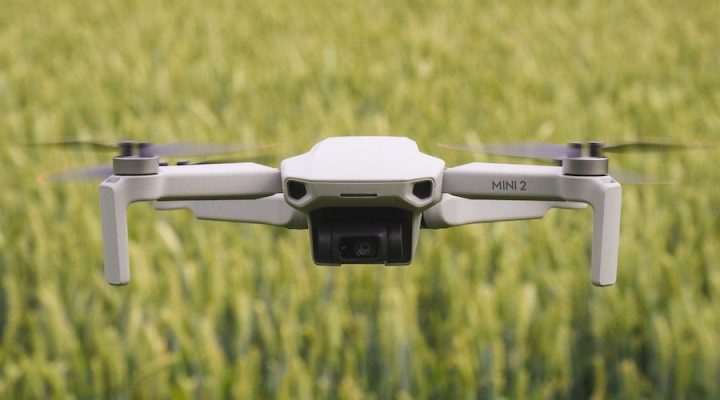 DJI Mini 2 SE vs Mini 2 : quel drone choisir